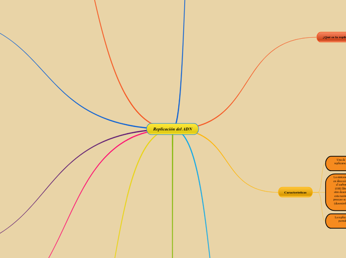 Replicación del ADN - Mind Map